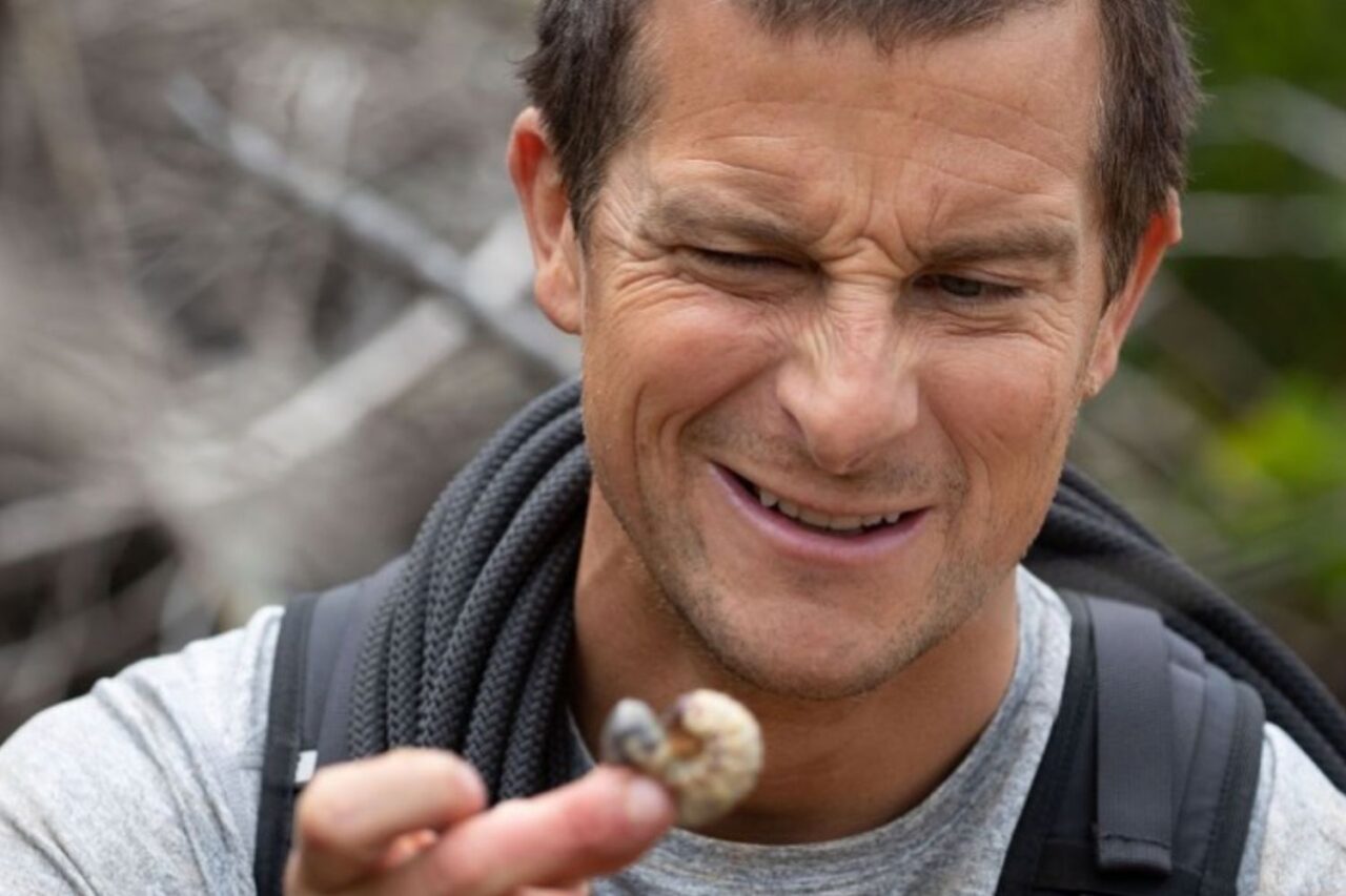Heres What Bear Grylls Eats To Stay Fighting Fit And Primed For A Life